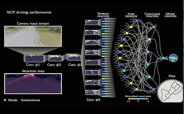 Liquid AI, a new MIT spinoff, to Build a New Type of AI | The National ... Liquid AI, a new MIT spinoff, to Build a New Type of AI | The National ...